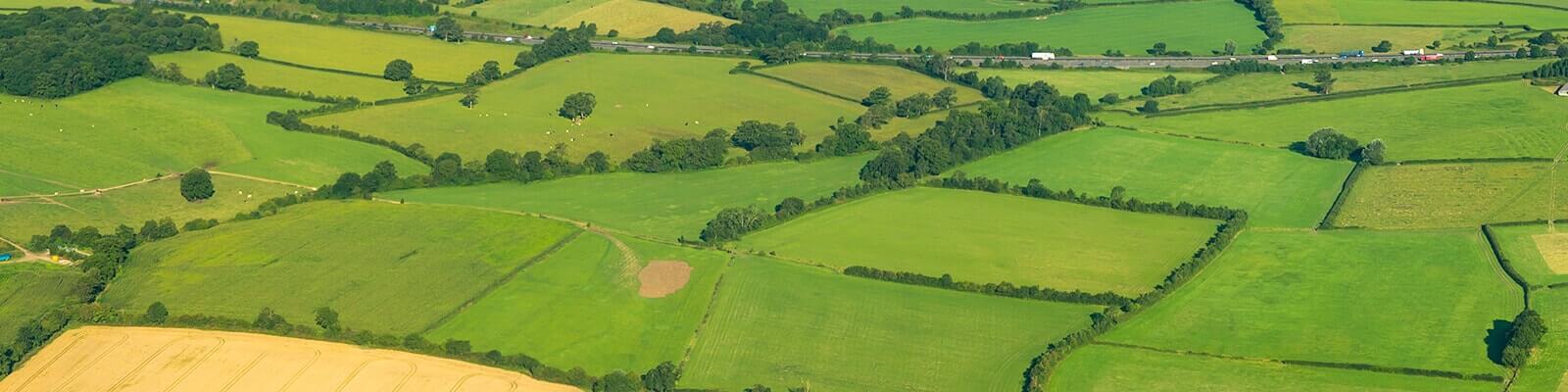 Confused about potato pesticide training? UK Rural Skills can help ...